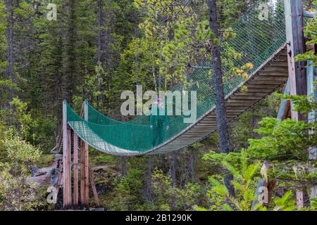 Suspension bridge for hikers crossing the Robson River at Whitehorn ...