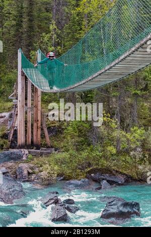 Suspension bridge for hikers crossing the Robson River at Whitehorn ...