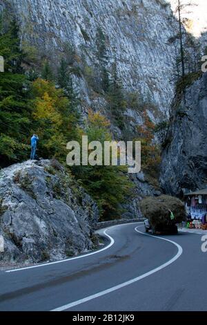Tourists in Bicaz Gorge, Cheile Bicazului Hasmas, Moldavia, Romania ...