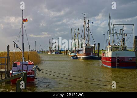Harbor in Spieka Neufeld,Wurster coast,Cuxhaven district,Lower Saxony ...