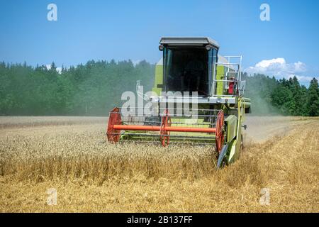 combine harvester working in ripe rice field near forest Stock Photo ...