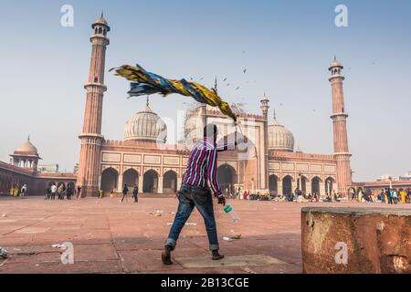 garbage man, Jama Masjid, India, Asia Stock Photo - Alamy