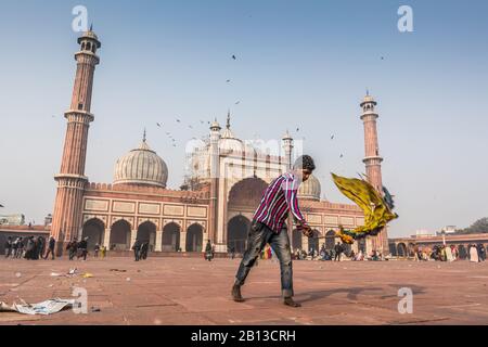 garbage man, Jama Masjid, India, Asia Stock Photo - Alamy