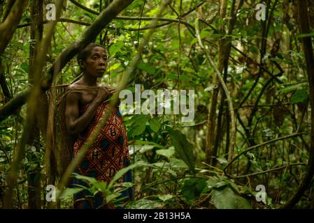 Life of Bayaka Pygmies at the equatorial rainforest,Central African ...