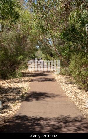 Long straight path in public park Stock Photo - Alamy