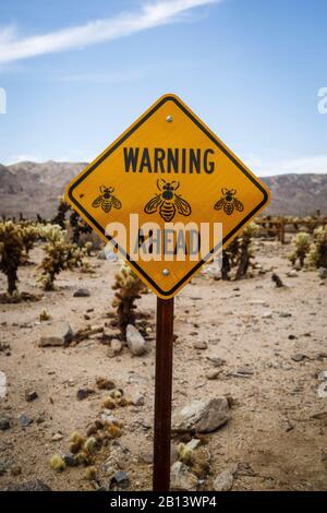Cholla Cactus Garden sign in Joshua Tree National Park in California ...