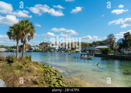 Kings Bay Crystal river FL Stock Photo - Alamy
