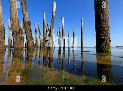 Dilapidated and abandoned jetty at Provincetown, USA Stock Photo - Alamy