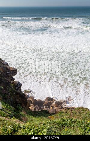 Ocean coast with grass, moviment waves with foam. Wind power. Turquoise ...