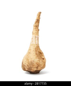 large parsnip root isolated on a white background, healthy and tasty ...