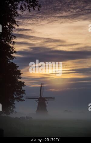 Hempenserpoldermolen smock mill in morning fog, Netherlands, Frisia ...