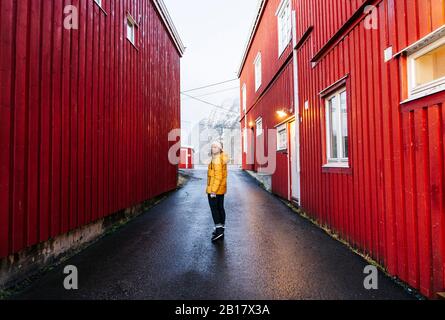 Tourist exploring the fishing village Hamnoy, Lofoten, Norway Stock ...