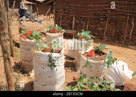 KENYA, Nairobi, Kibera slum, water hose and sewage / KENIA, Nairobi ...