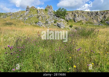 Minera Quarry in Wales, UK now a North Wales Wildlife Trust Reserve ...