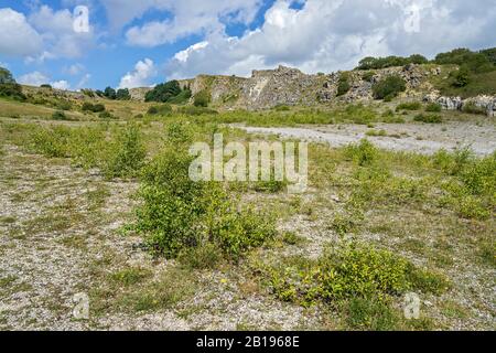 Minera Quarry in Wales, UK now a North Wales Wildlife Trust Reserve ...