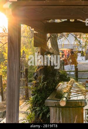 Dragon at Temizuya or Chozuya (Water purification pavilion) of Arakura ...