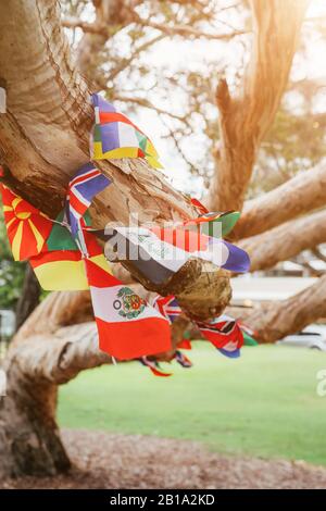 Flags of different countries in the tree. Multicultural network ...