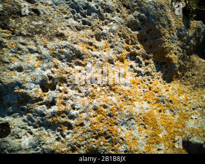 The scenery of the beach colored with sand, texture, and sunset light ...
