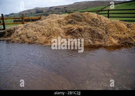 Farm Yard Manure Stock Photo - Alamy