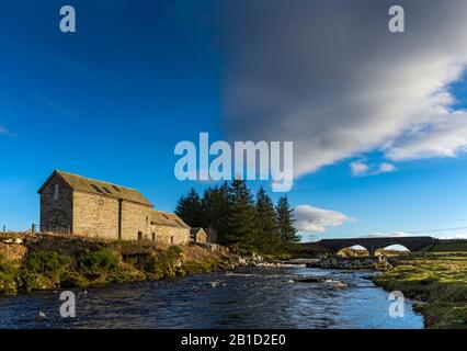 The river Thurso and Dale Mill at Westerdale, Caithness, Scotland, UK ...
