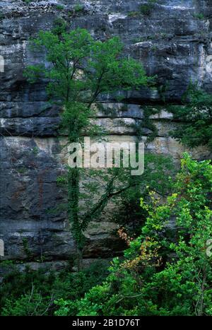 Buffalo River at Hasty, Buffalo National River, Arkansas Stock Photo ...