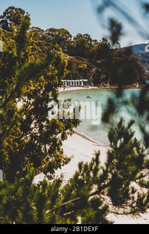 CONINGHAM BEACH, TASMANIA - February 23rd, 2020: wild Tasmanian ...