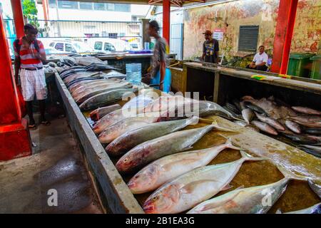 Inside Victoria Fish Market on the Mahe island, Seychelles Stock Photo ...