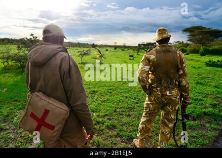 Armed rangers walking in a conservancy near the park, Masai Mara ...