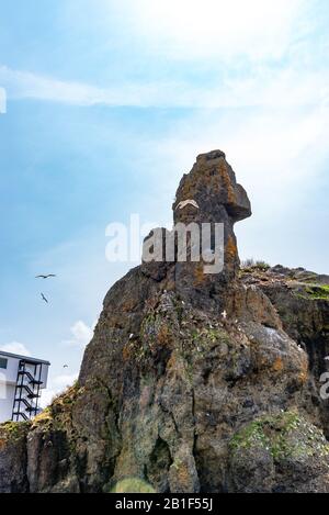 Godzilla Rock (Godzillaiwa), A rock that looks like a Monster Godzilla ...