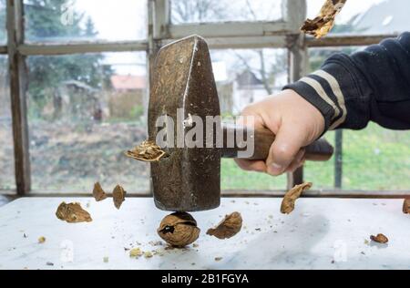 A sledgehammer to crack a nut Stock Photo - Alamy