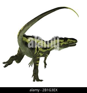 Torvosaurus was a carnivorous theropod dinosaur that lived in Colorado and Portugal during the ...