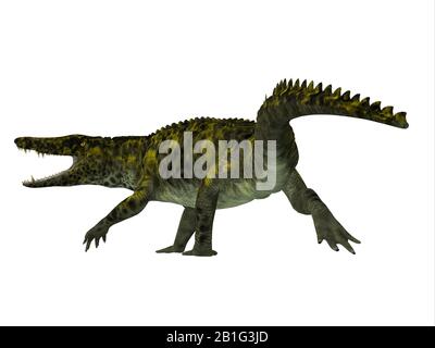 Uberabasuchus was an archosaur carnivorous crocodile that lived in the ...
