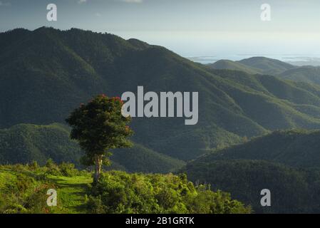 Sierra de Cayey Stock Photo - Alamy