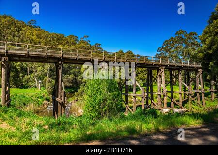 Timboon Rail Trestle Bridge in Victoria, Australia Stock Photo - Alamy