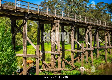 Timboon Rail Trestle Bridge in Victoria, Australia Stock Photo - Alamy