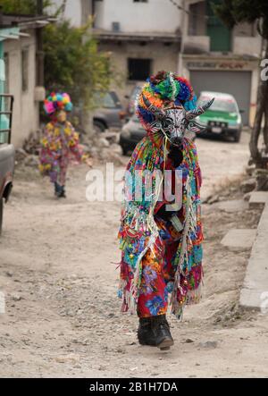 Coyolillo, Veracruz, Mexico. 25th Feb, 2020. Wearing a bull mask and ...