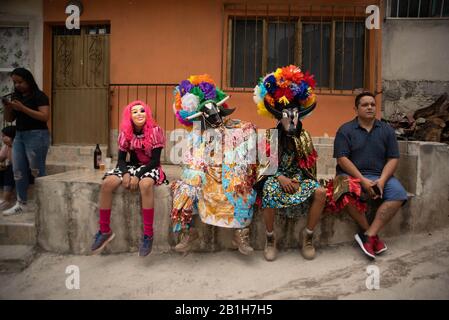 Coyolillo, Veracruz, Mexico. 25th Feb, 2020. Wearing a bull mask and ...