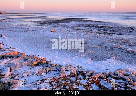 frozen Wadden Sea at sunrise, Netherlands, Frisia, Ternaard Stock Photo ...