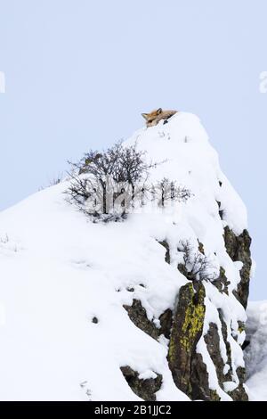 Closeup shot of a hill covered in greenery under s bright sky Stock ...