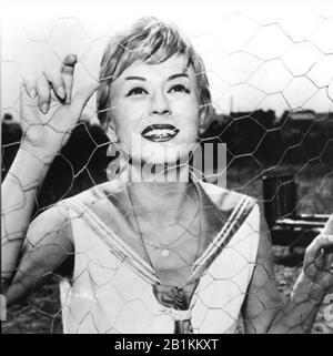 Giulietta Masina Film: The Nights Of Cabiria; Le Notti Di Cabiria (Le ...