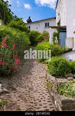 Cottages in the coastal village of Bucks Mills, North Devon, UK Stock ...