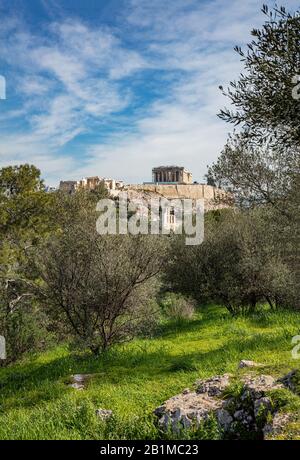 Athens, view through the trees of the Acropolis and the Parthenon Stock ...