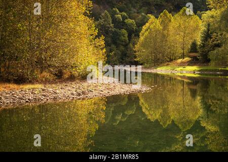Autumn view of angler in North Fork South Branch Potomac River, Seneca ...