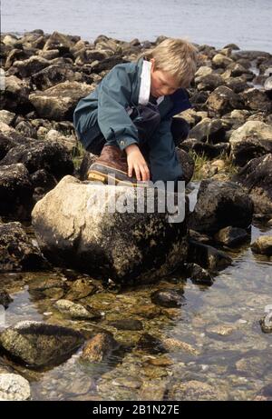 Brushy Point Beach, Bluff Point State Park, Connecticut Stock Photo - Alamy
