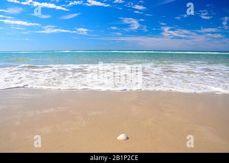 Dreamtime Beach, Australia Stock Photo - Alamy