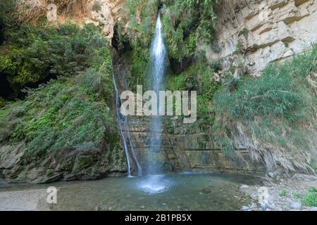 Davids Wasserfall, Wadi David, Naturreservat Ein Gedi, Israel Stock ...