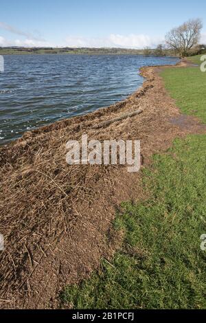 River Ribble floodplain Stock Photo - Alamy