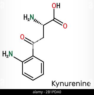 Kynurenine molecule. Skeletal formula Stock Photo - Alamy