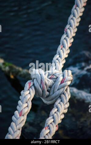 Old Mossy Rope in The Sea Stock Photo - Alamy