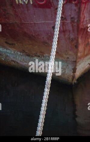 Old Mossy Rope in The Sea Stock Photo - Alamy